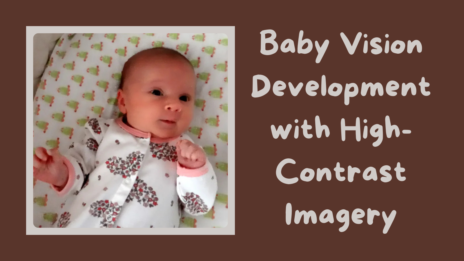 For Newborn Eyes: Baby Vision Development with High-Contrast Imagery ...
